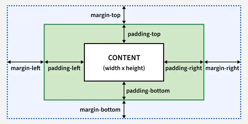 CSS Padding vs Margin - GeeksforGeeks