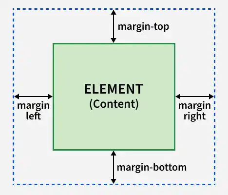 CSS Padding vs Margin - GeeksforGeeks