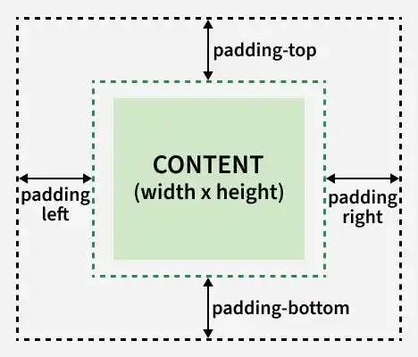 CSS Padding vs Margin - GeeksforGeeks