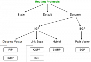 Routing v/s Routed Protocols in Computer Network - GeeksforGeeks