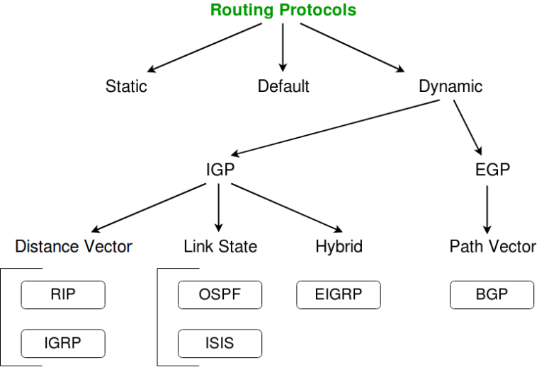 Routing v/s Routed Protocols in Computer Network - GeeksforGeeks